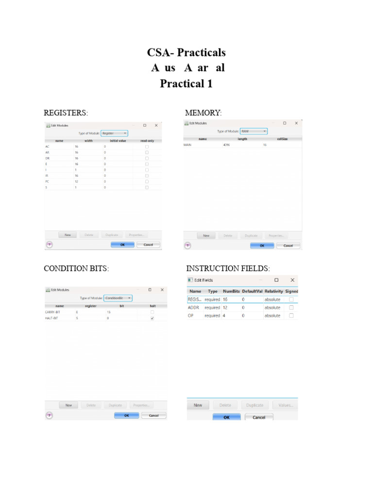 CSA - Practicals | PDF