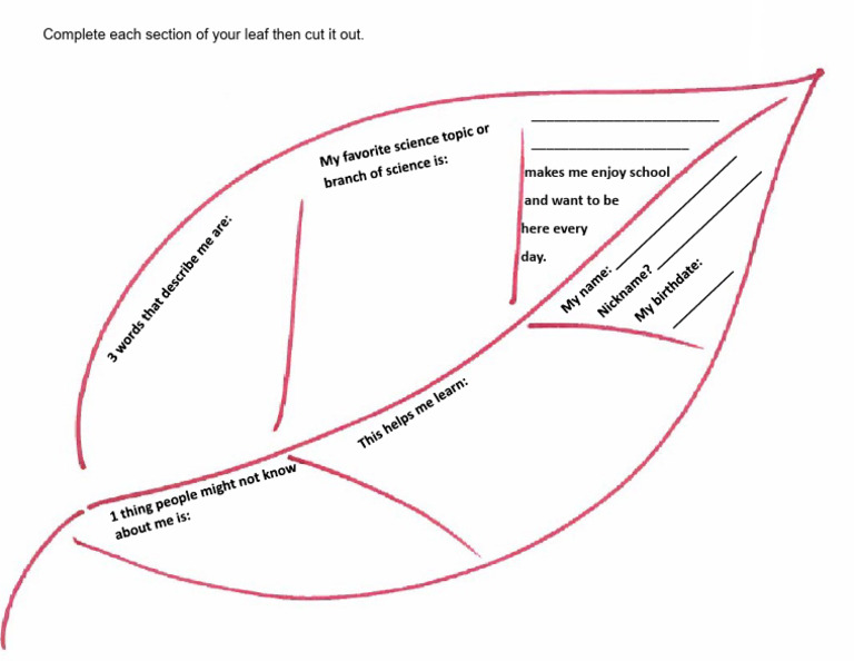 7th Grade All About Me Activity | PDF