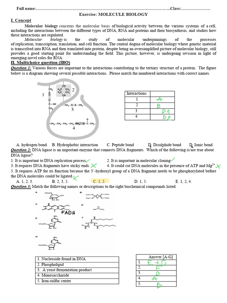 Translation Exercise About Molecular Biology | PDF | Dna | Messenger Rna
