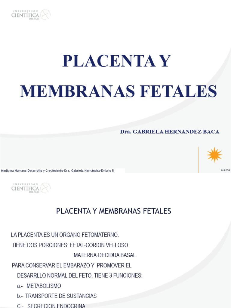 05 - Placenta | PDF | Placenta | Feto