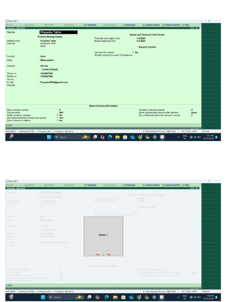Priyanka Tally Project | PDF