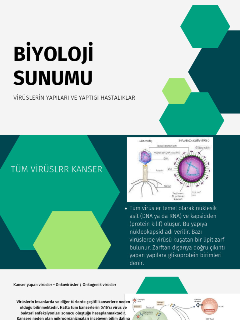 Bi̇yoloji̇ Sunumu | PDF