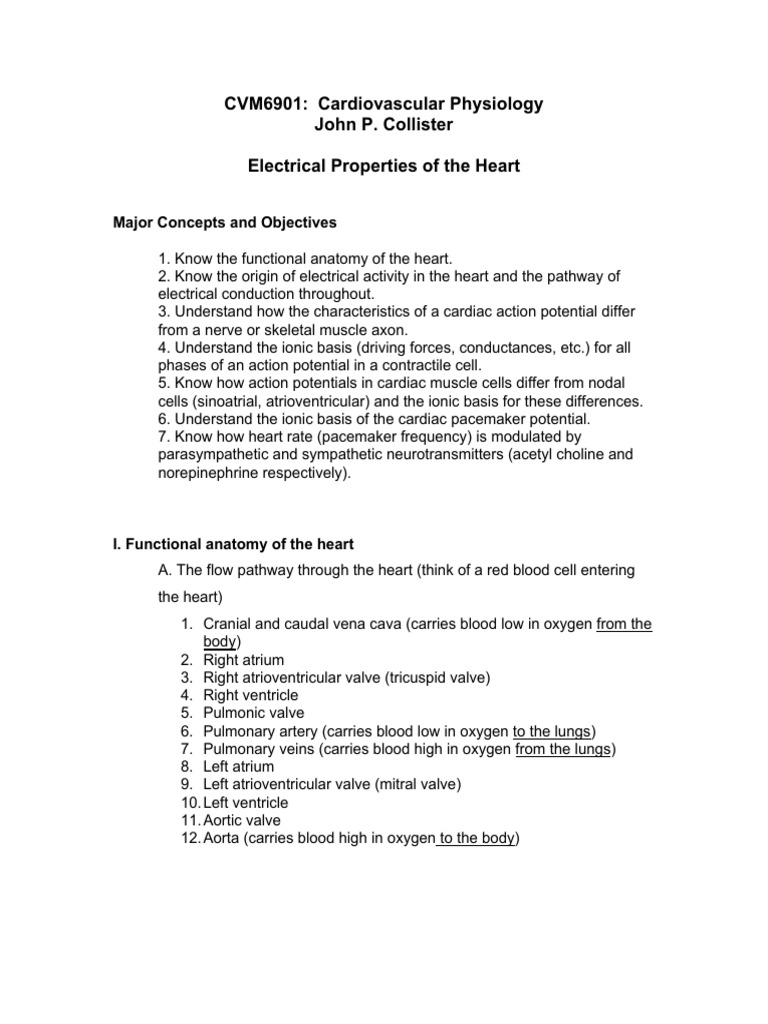 1.+Notes Elect+Props+of+Heart+Lect | PDF | Heart | Membrane Potential 1.+Notes Elect+Props+of+Heart+Lect | PDF | Heart | Membrane Potential