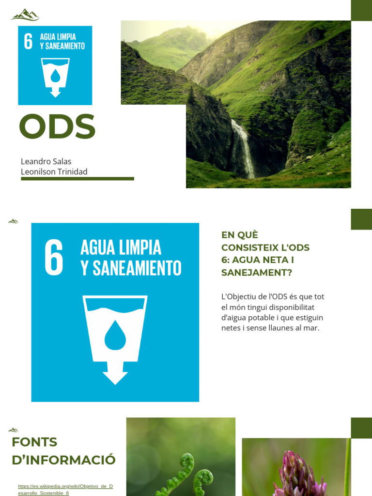 Ods 6 | PDF