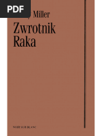 Janko Muzykant - Streszczenie | PDF