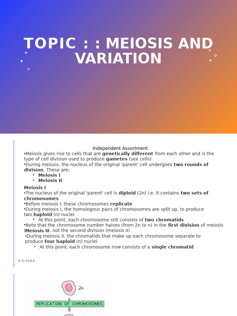 b. Meiosis and Variation | PDF | Meiosis | Ploidy