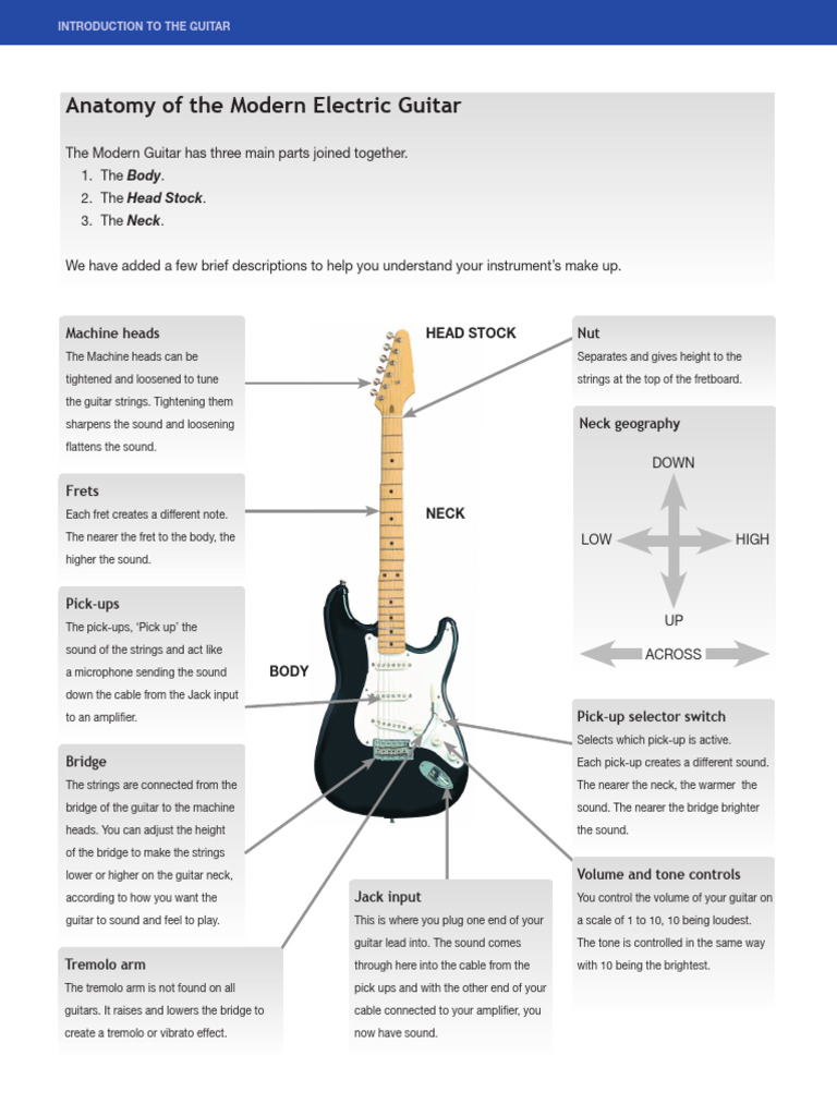 Guitar Anatomy | PDF | Guitars | String Instruments