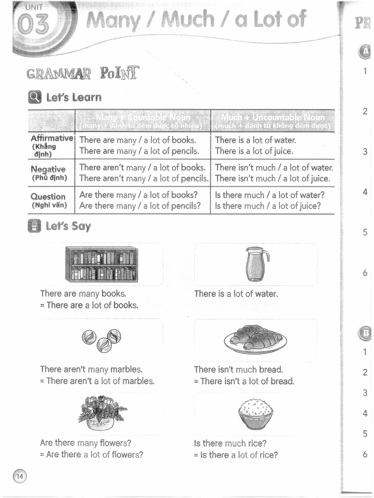 23.08.16 - G5 - Grammar (Many - Much. A Lot Of) | PDF