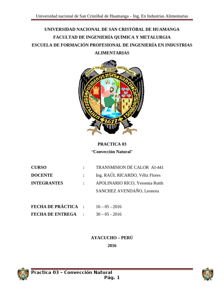 Practica 03 Conveccion Natural Final | PDF | Convección | Transferencia de calor