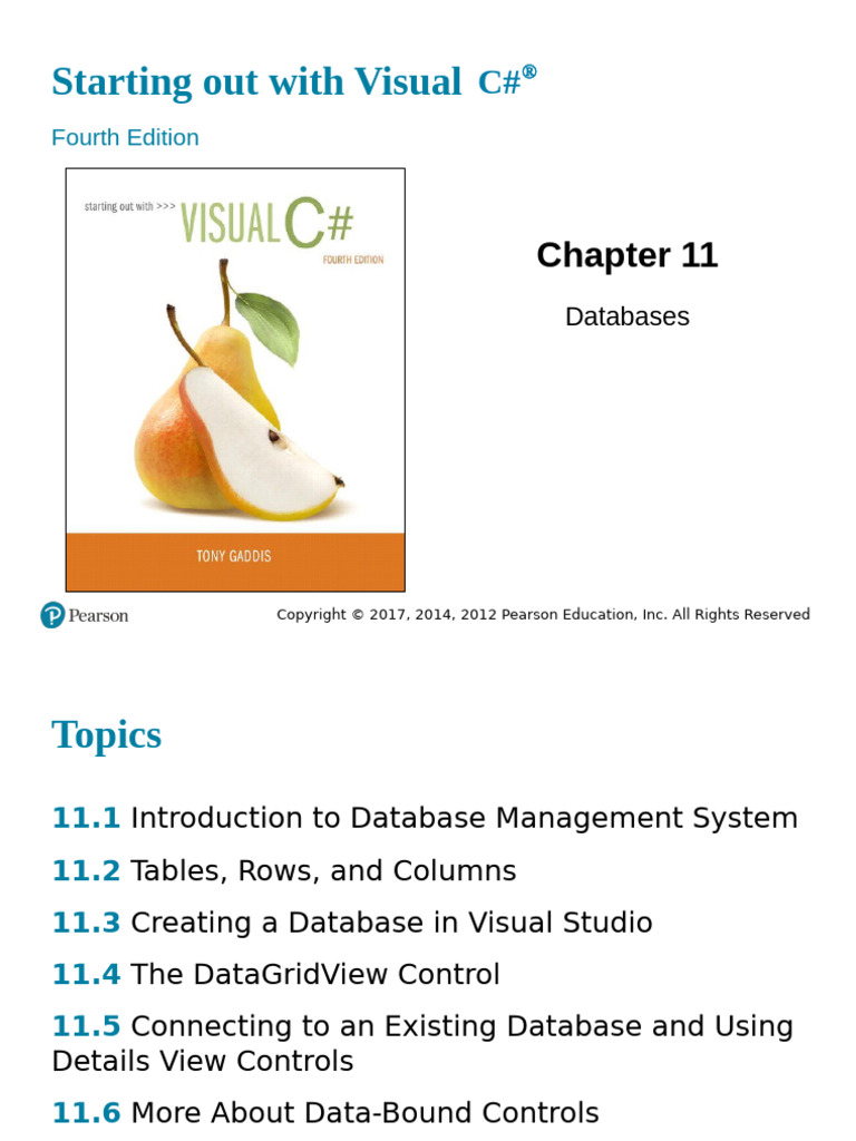 Chapter 11 Accessible | PDF | Databases | Parameter (Computer Programming)