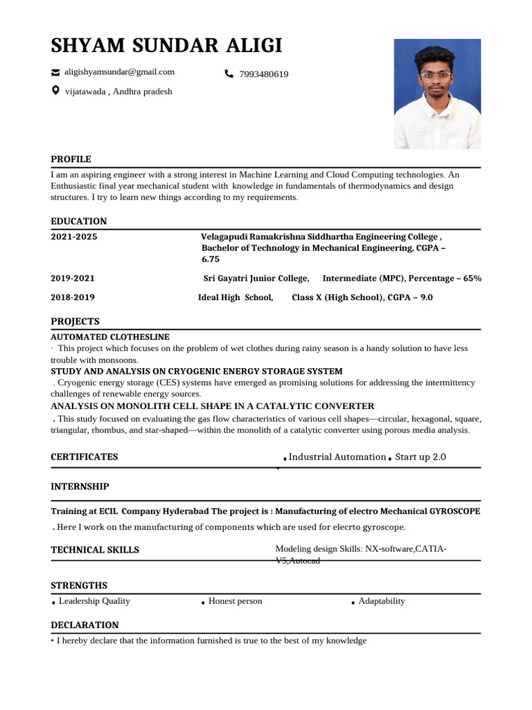Shyam Sundar Aligi Flowcv Resume 20240813 | PDF