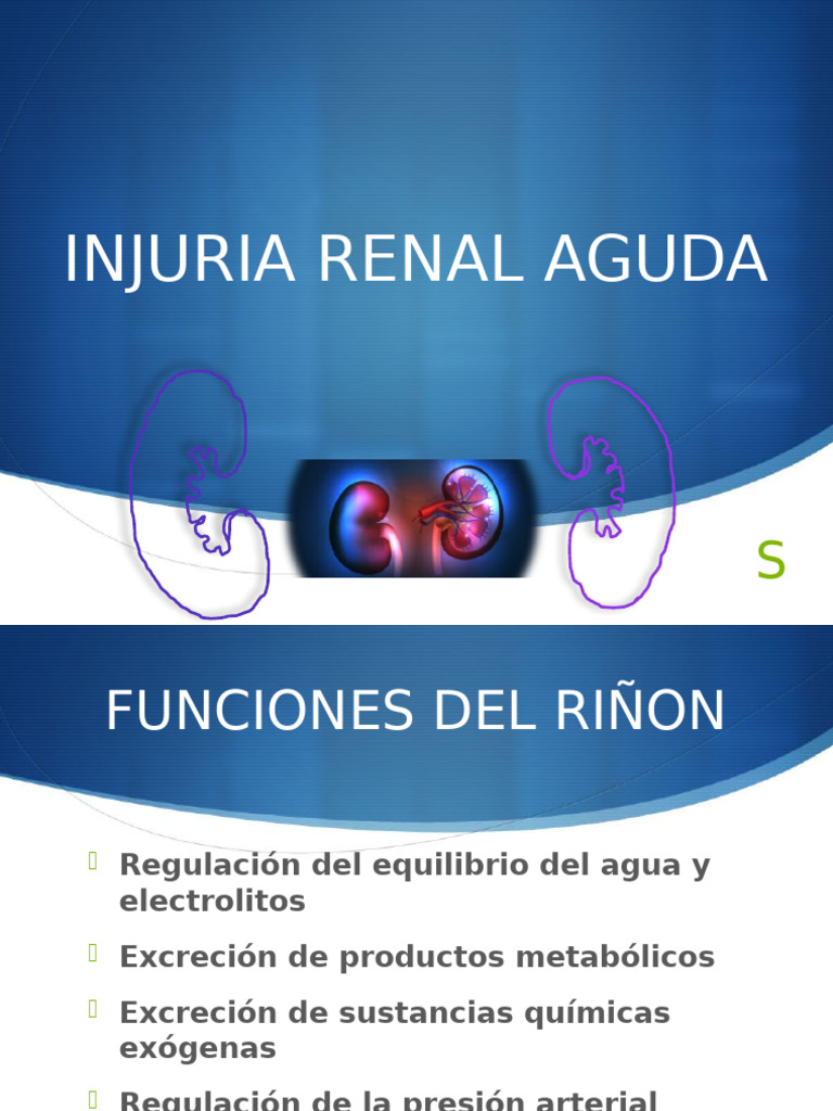 Injuria Renal Aguda Periatría | PDF | Riñón | Medicina Interna