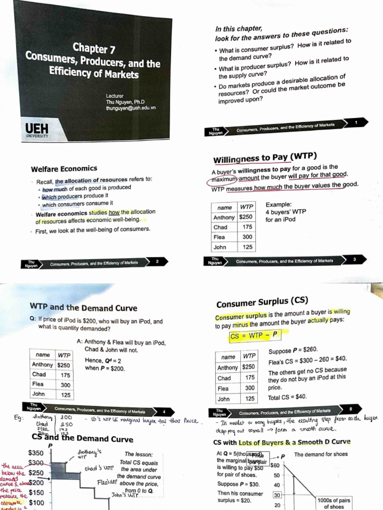 micro c7 | PDF | Economic Surplus | Market (Economics)