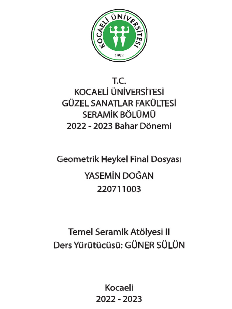 Yasemin Doğan FİNAL A3 | PDF