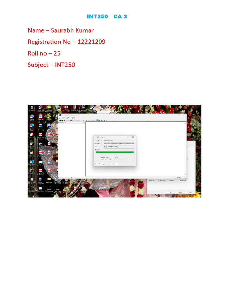 Int 250 Ca 3 | PDF