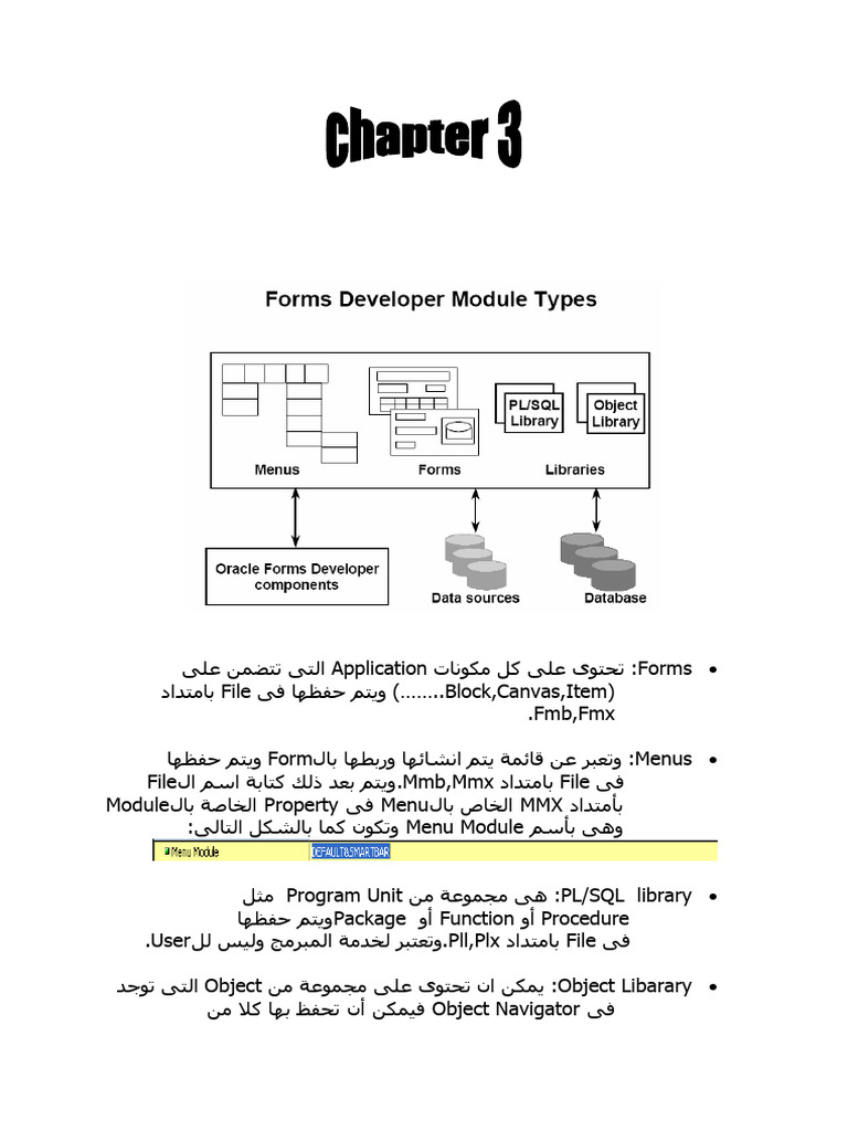 Chapter - 3 Working in The Form | PDF