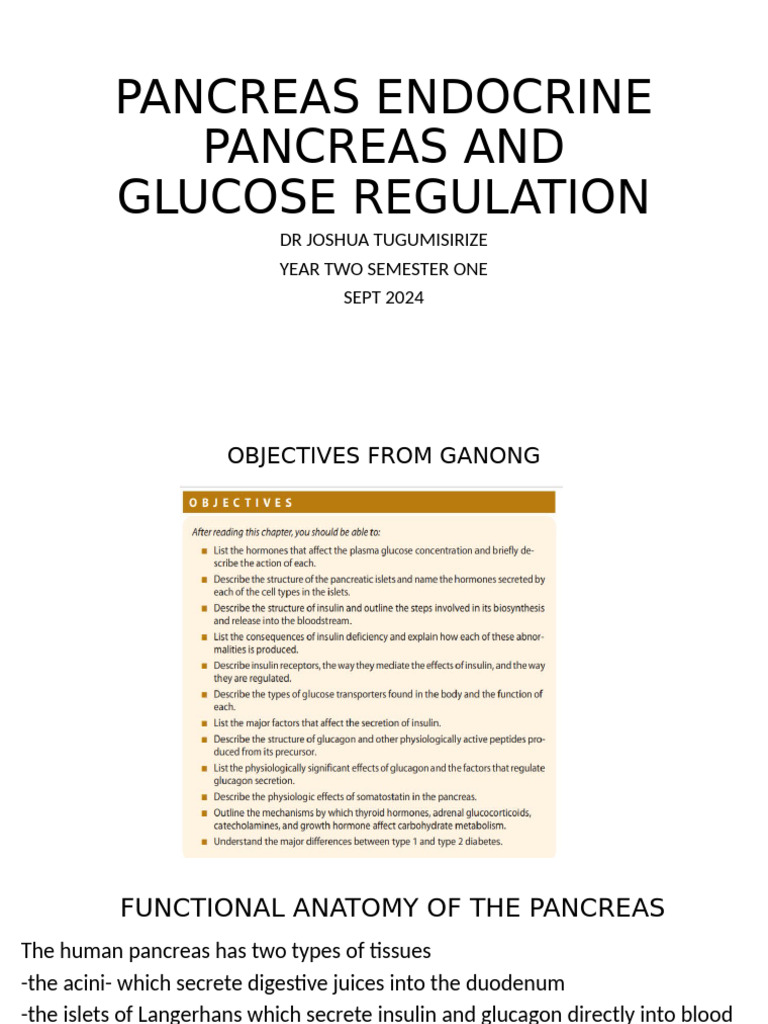 Pancreas Endocrine Function and Glucose Regulation | PDF | Insulin ...