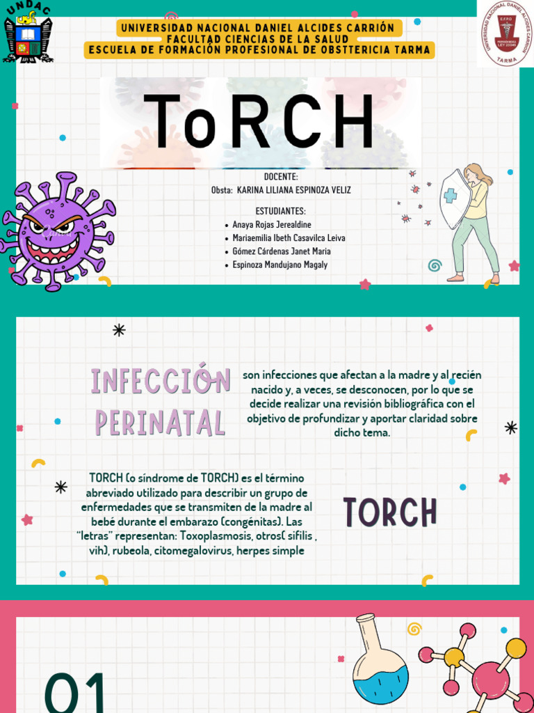 Infecciones Perinatales - Torch | PDF | VIH | Especialidades Medicas