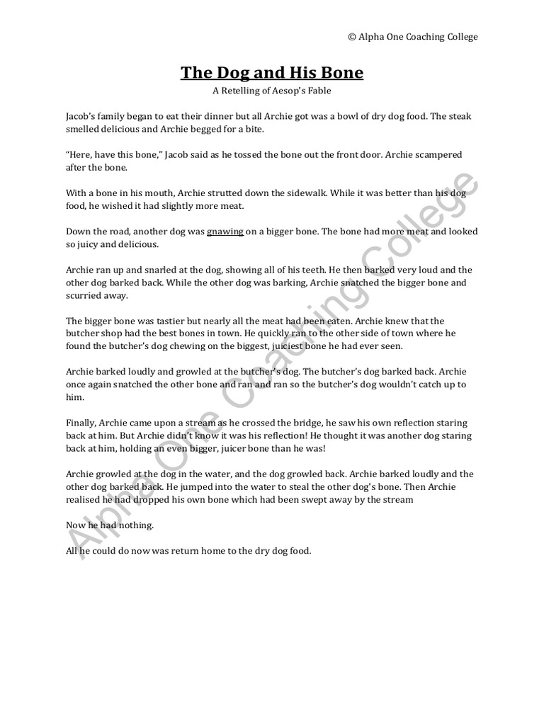 Year 4 RC - The Dog & His Reflection | PDF