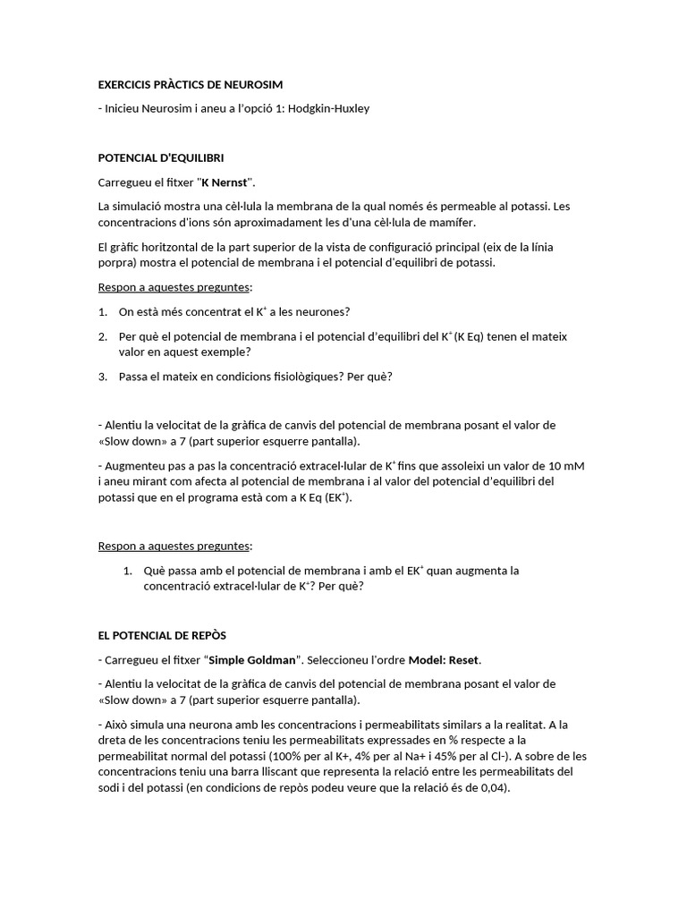 Protocol Neurosim 5 | PDF
