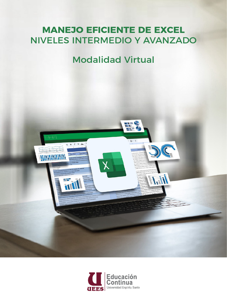 CONTENIDO-Manejo Eficiente de Excel Niveles Intermedio y Avanzado | PDF ...