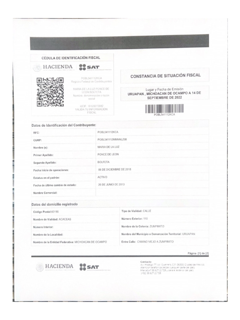 Cédula de Identificación Fiscal | PDF