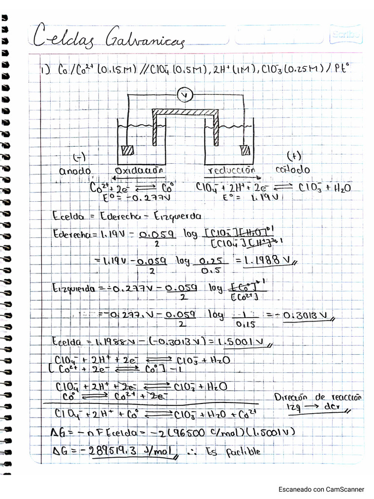 Celdas Corregidas | PDF