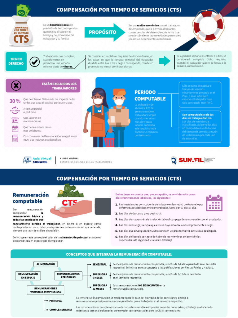 Infografia CTS | PDF