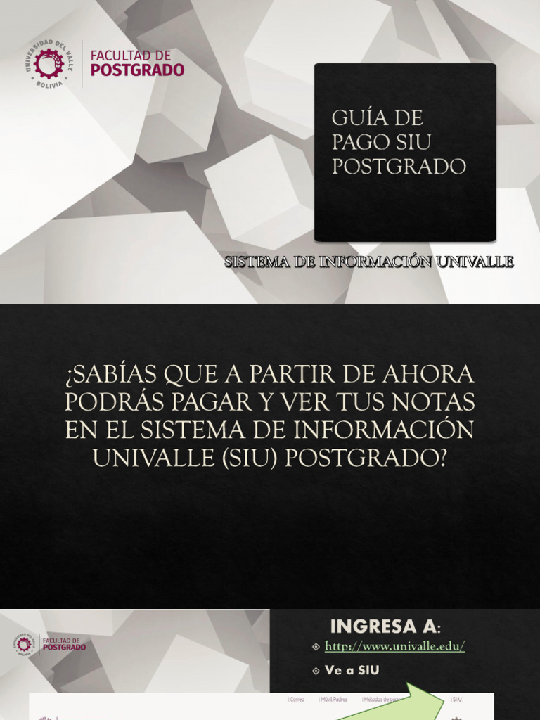 Guía de Siu Postgrado (Notas, Pagos) | PDF