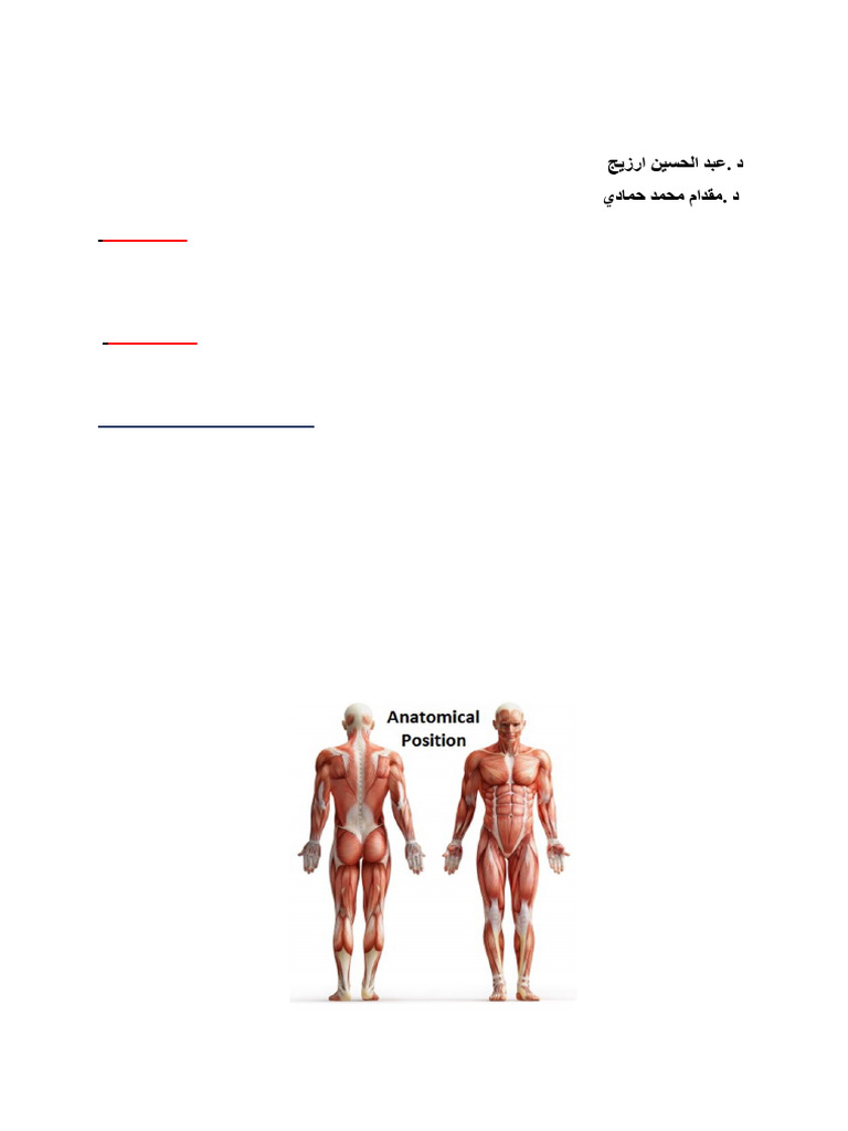 lect__1 | PDF | Anatomical Terms Of Motion | Anatomical Terms Of Location