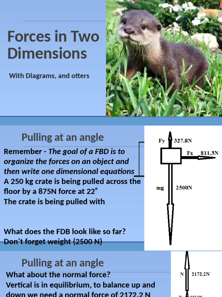 Day 17 - Forces in 2D - in Class - 24 | PDF | Force | Friction