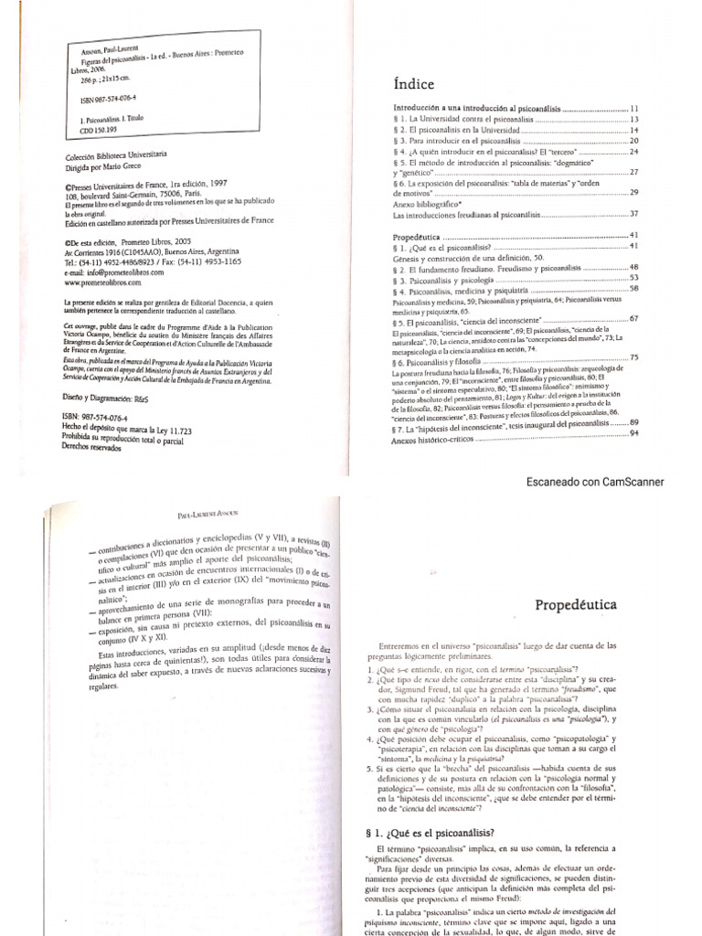 Assoun Figuras Del Psicoanálisis Propedéutica | PDF