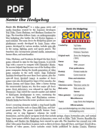 Sonic Generations Mod Collection Guide | PDF | Video Game Gameplay