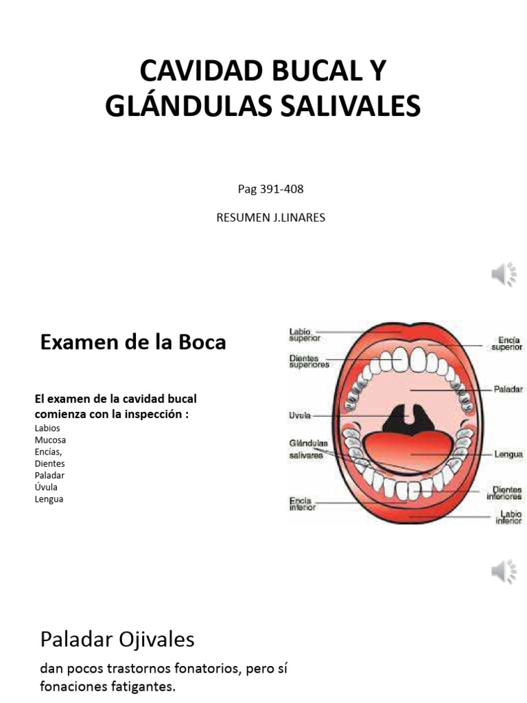 Boca y Esofago | PDF | Boca | Lengua