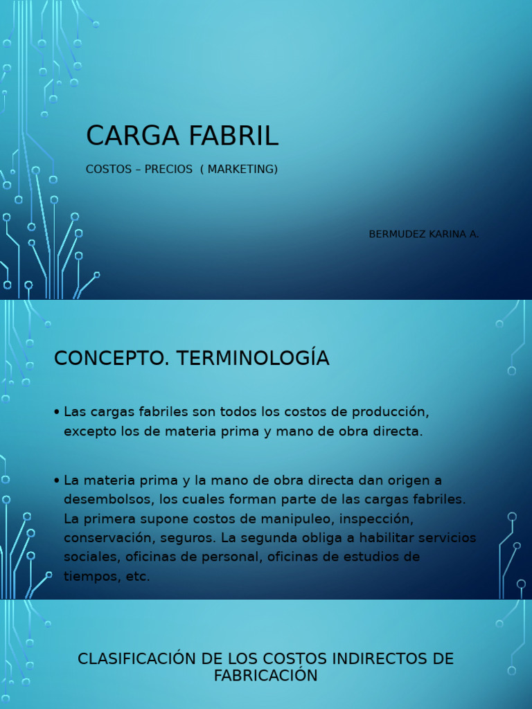 CARGA FABRIL Marketing | PDF | Materia prima | Economias