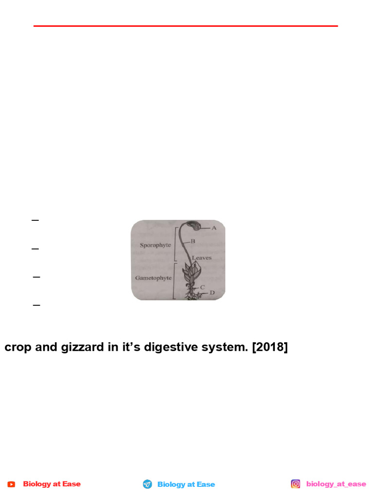 UNIT 1 Diversity in The Living World MOCK | PDF | Algae | Biology