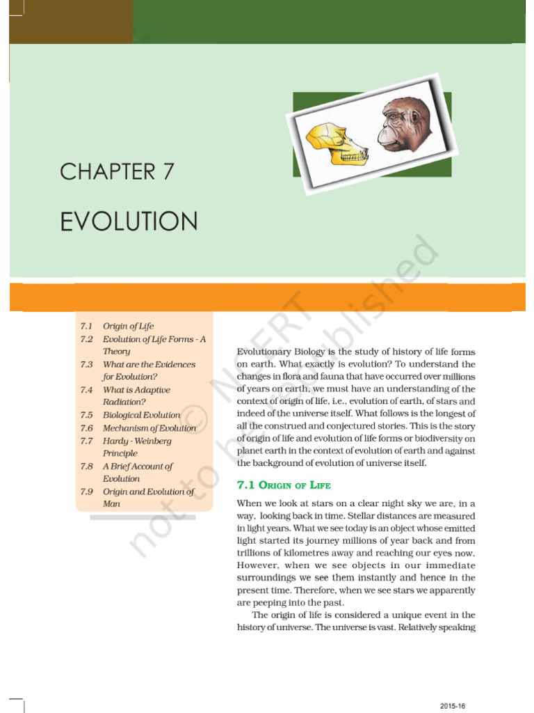 CH 7 Evolution | PDF