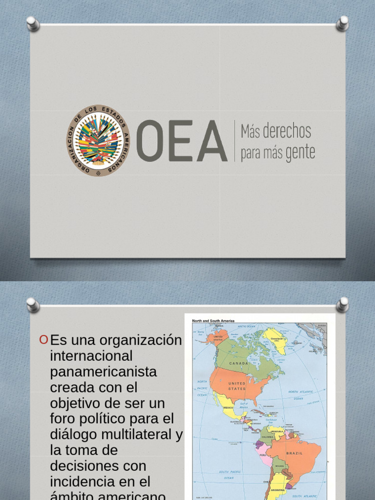 Historia y Estructura de la OEA | PDF | Gobierno | Relaciones ...