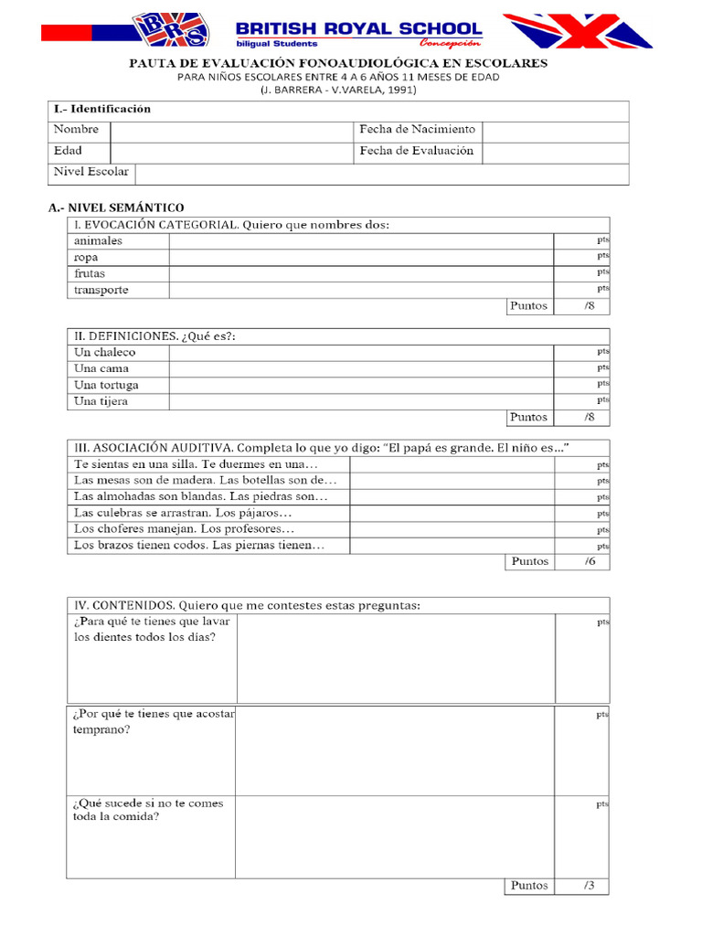 Protocolo Pefe 4 A 6 Años 11 Meses PDF | PDF