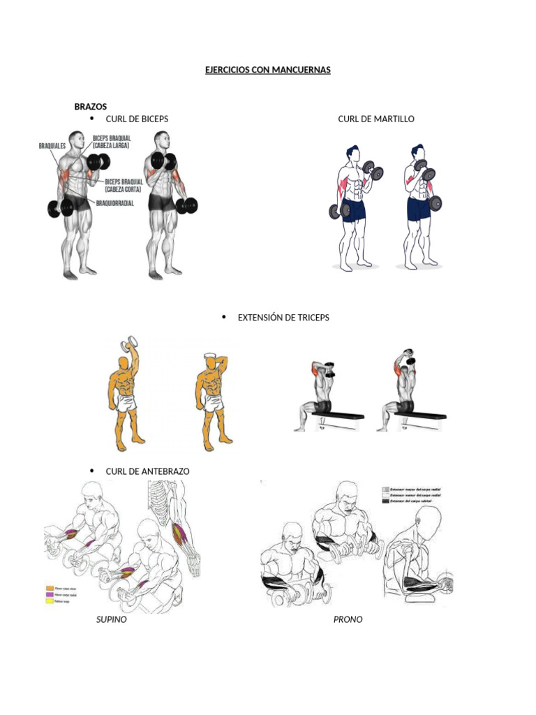 Ejercicios Con Mancuernas | PDF