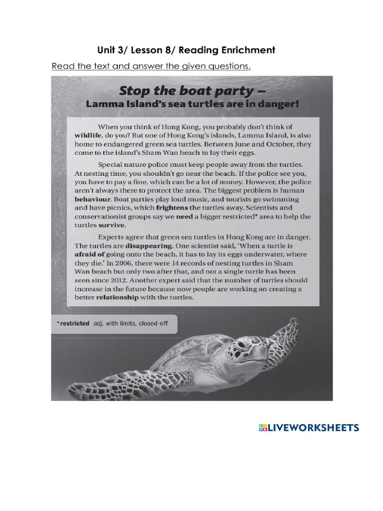 Reading Unit 3 | PDF