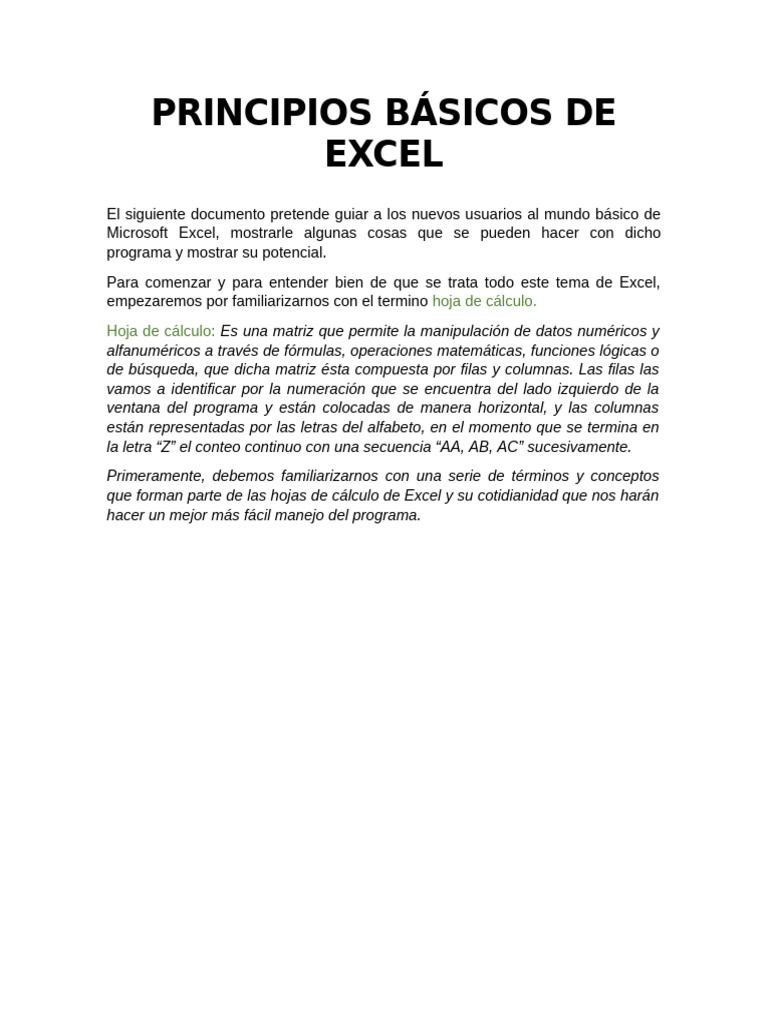 PRINCIPIOS BÁSICOS DE EXCEL | PDF | Hoja de cálculo | Microsoft Excel
