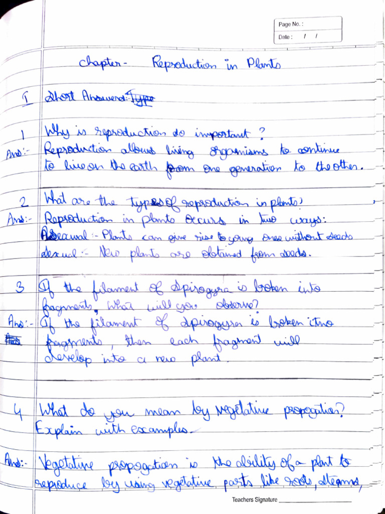 Science C W Reproduction in Plants | PDF