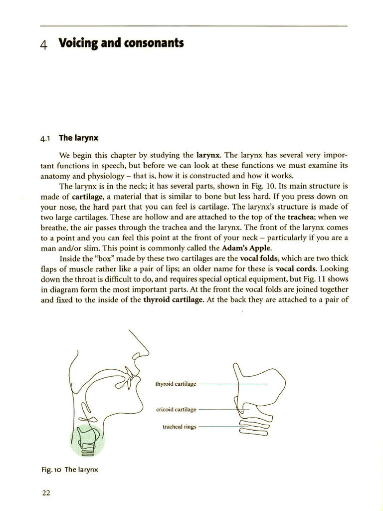 Chapter 04_Voicing and Consonants | PDF | Larynx | Phonetics Chapter 04_Voicing and Consonants | PDF | Larynx | Phonetics
