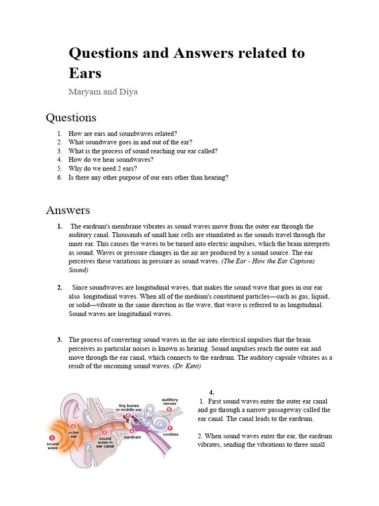Ears - Sound waves - Question | PDF | Ear | Sound