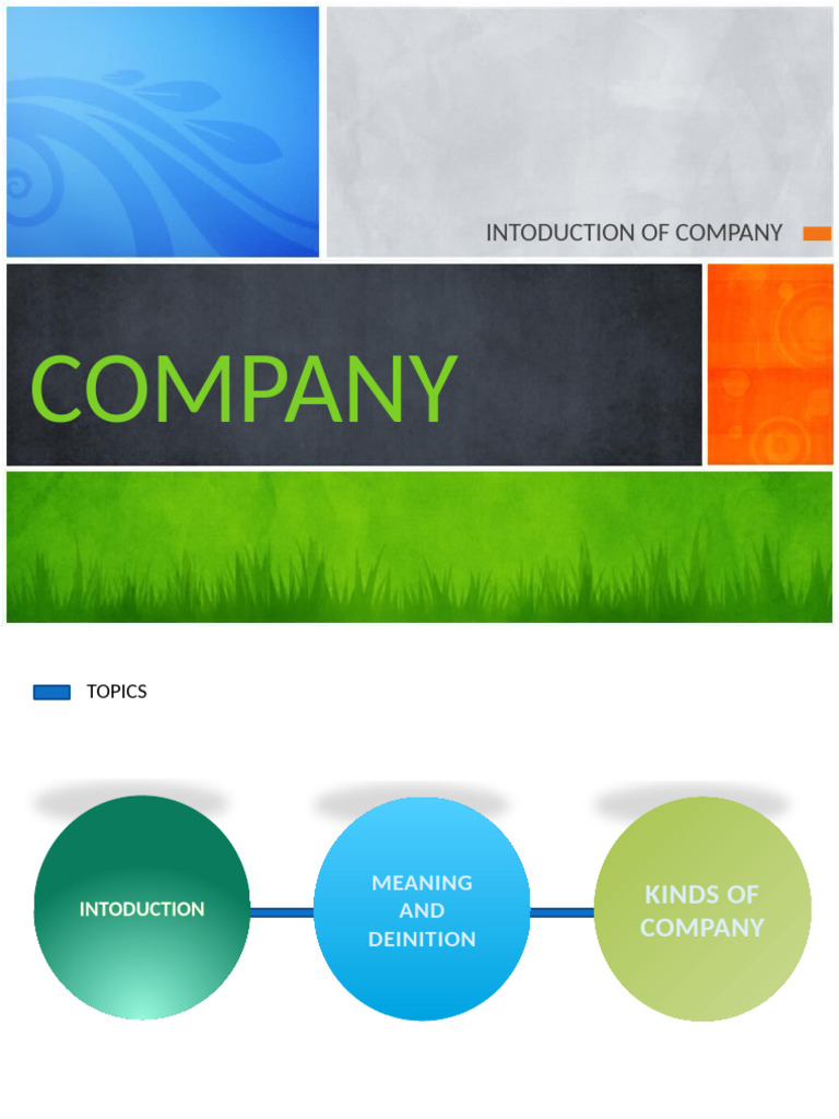 Company Presentation | PDF | Companies | Holding Company