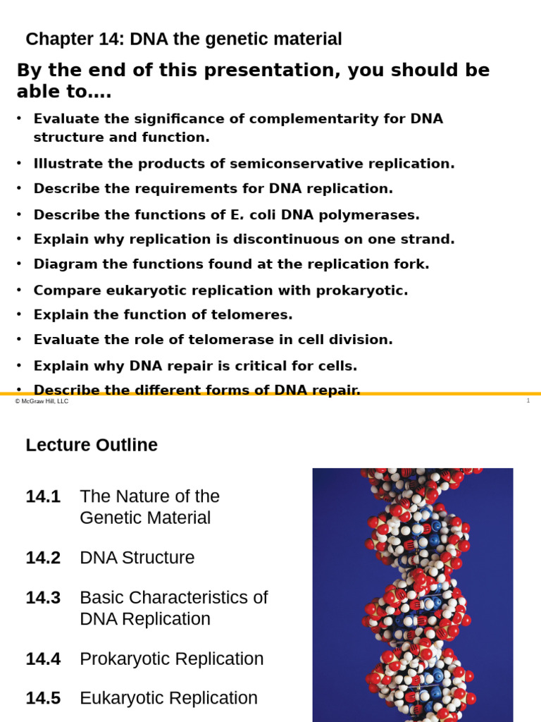 Chapter 14 DNA The Genetic Material | PDF | Dna Replication | Dna