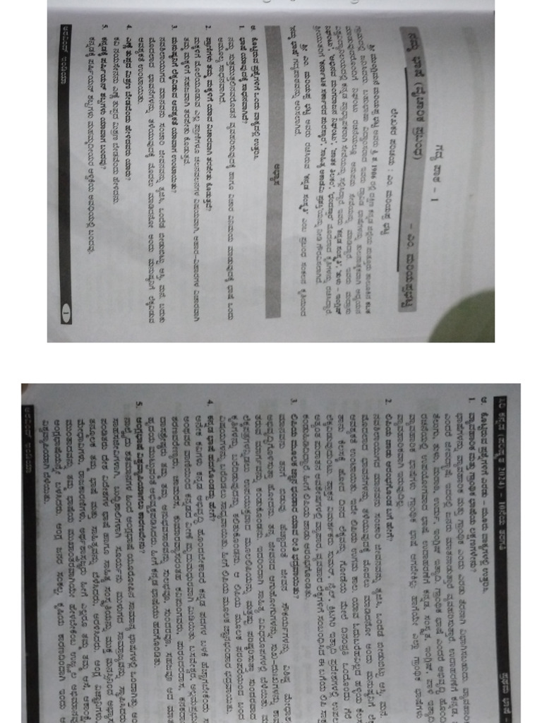 ACE Scanner - 2024 - 12 - 20 | PDF