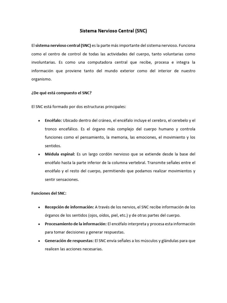 Funciones y Estructura del SNC | PDF | Sistema nervioso central | Cerebro