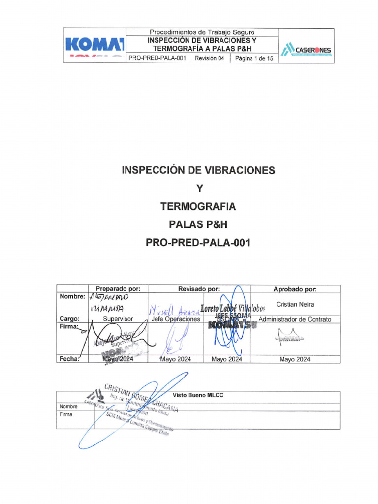 Pro-Pred-Pala-001 Inspección de Vibraciones y Termografia A Palas P&H | PDF
